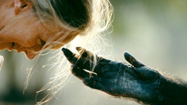 Michael Nichols: ¿viajero aventurero o fotógrafo? - fotofestín