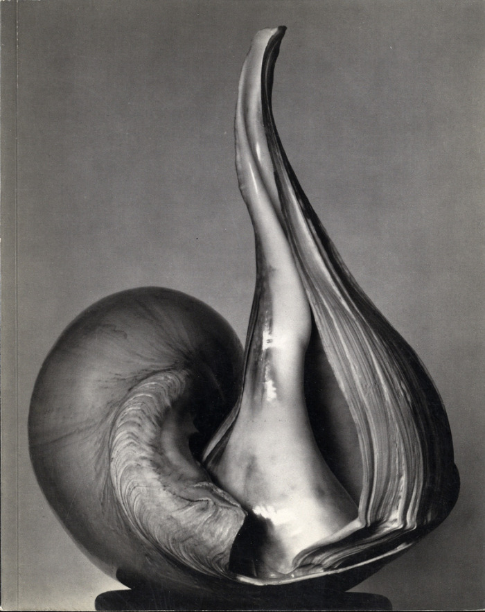 Edward Weston, maestro de la forma - fotofestín