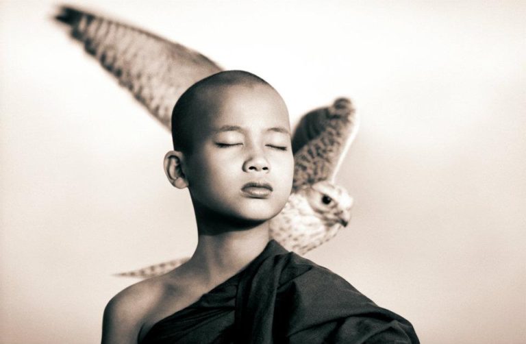Fofodumetal artístico: El reino animal de Gregory Colbert - fotofestín