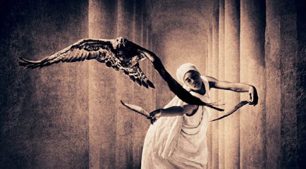 Fofodumetal artístico: El reino animal de Gregory Colbert - fotofestín