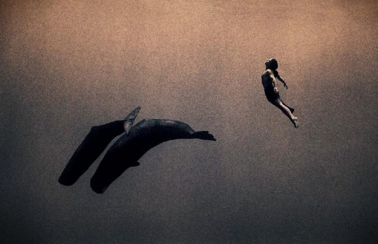 Fofodumetal artístico: El reino animal de Gregory Colbert - fotofestín