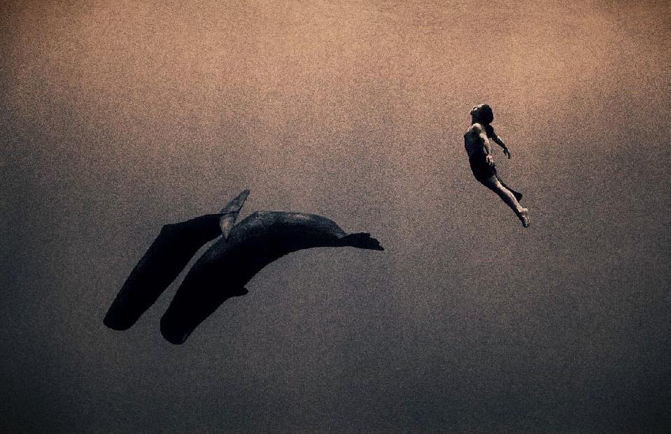 Fofodumetal artístico: El reino animal de Gregory Colbert - fotofestín