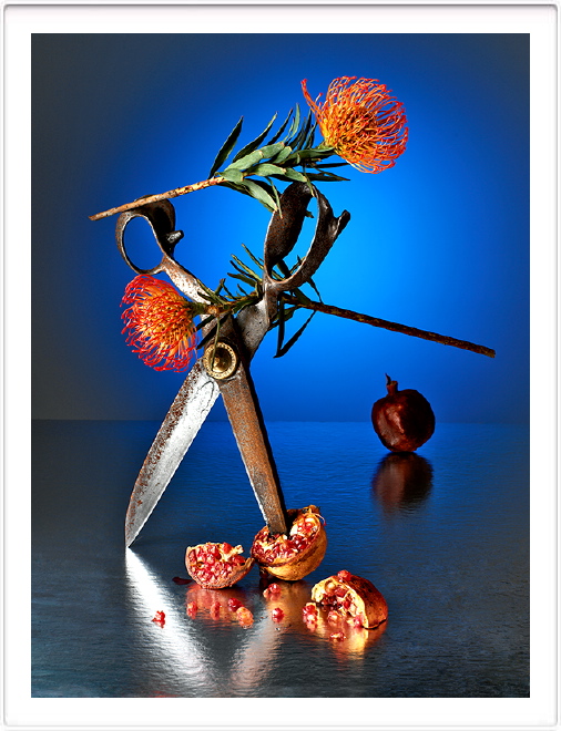 El surrealismo fotográfico de Paul Biddle - fotofestín