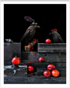 El surrealismo fotográfico de Paul Biddle - fotofestín